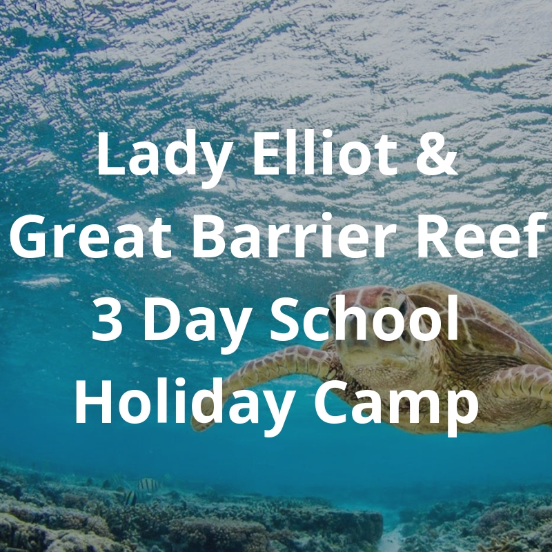 School Camps - Oceanic Tours